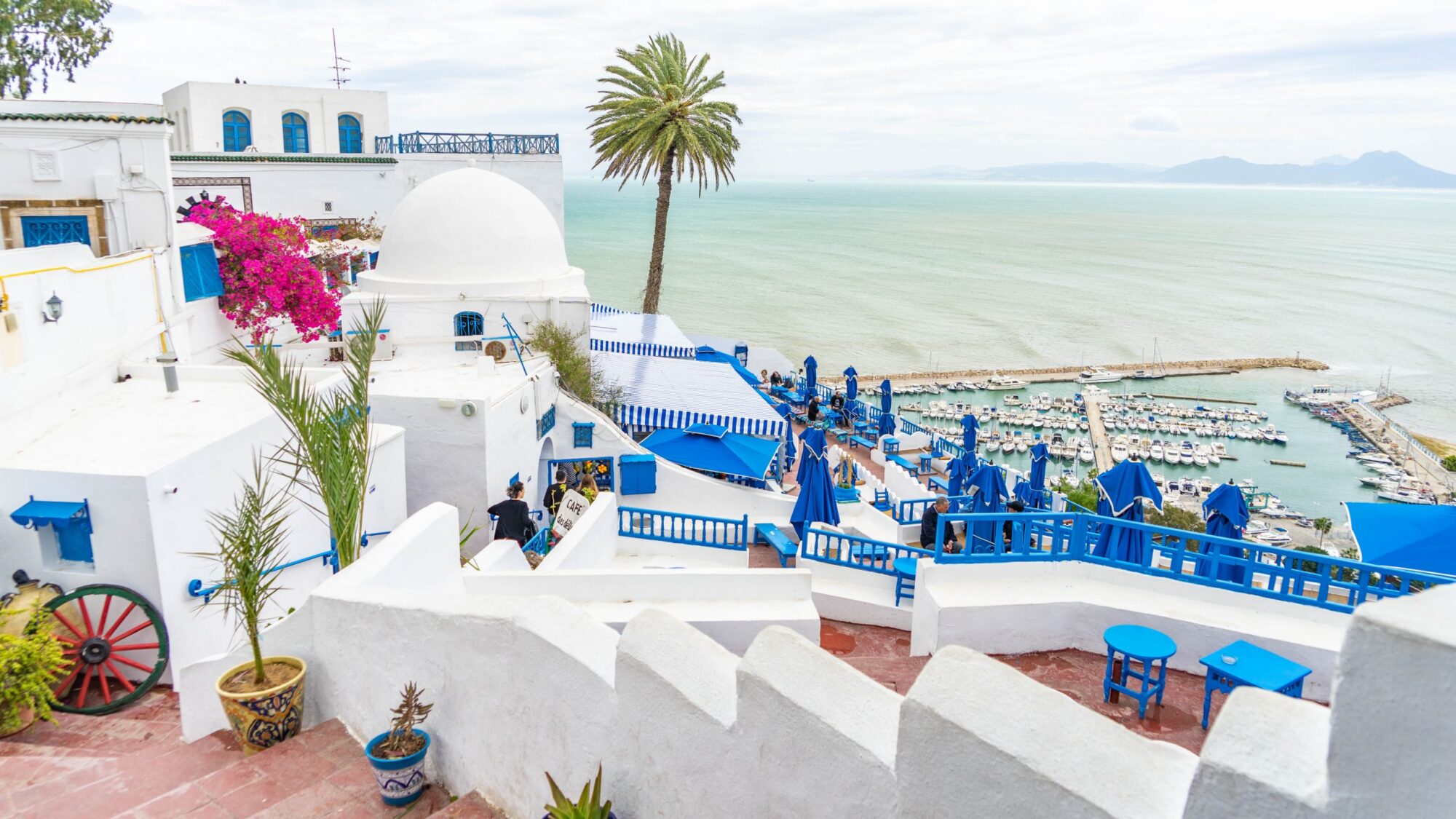 Wat te doen in Sidi Bou Said, Tunesië?