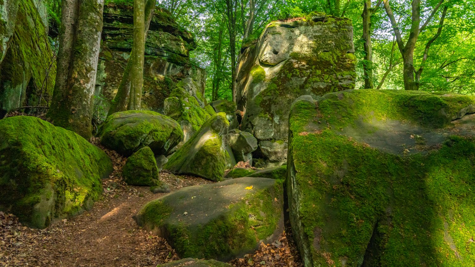 Mullerthal Trail route 2: mijn ervaring, tips en info - Corners of the ...