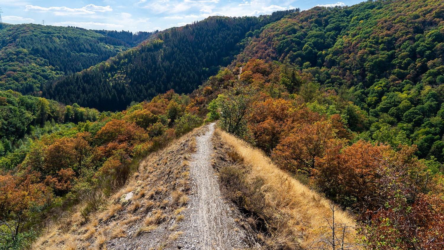 De Lee Trail in Luxemburg wandelen: alles wat je moet weten!